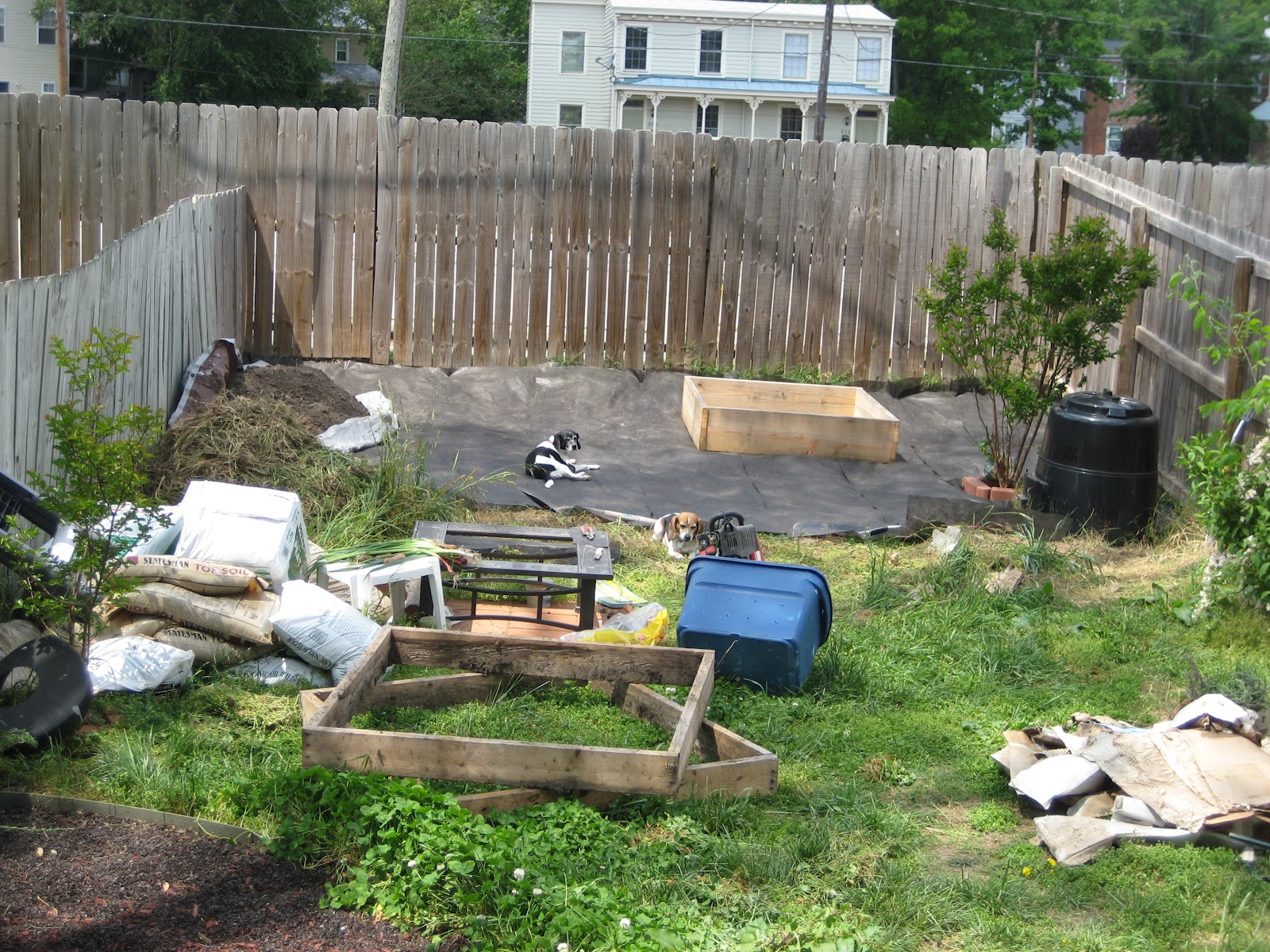 Jamecam Consulting Blog - "The grass isn't always greener..."